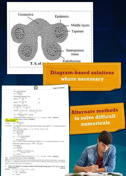 Buy Std 12th Science PCMB Board Questions With Solutions Book (1996 ...