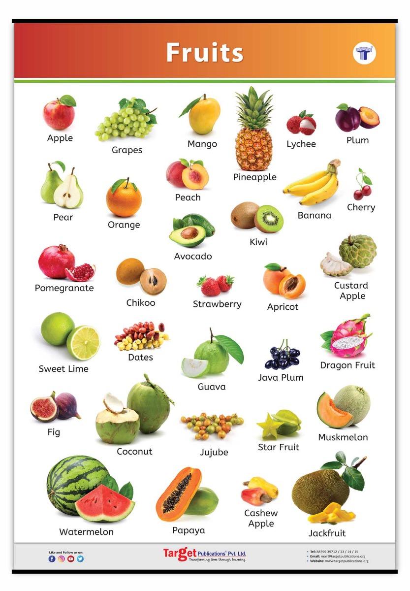 Buy Jumbo Fruit Learning Chart for 2-5-year old kids online