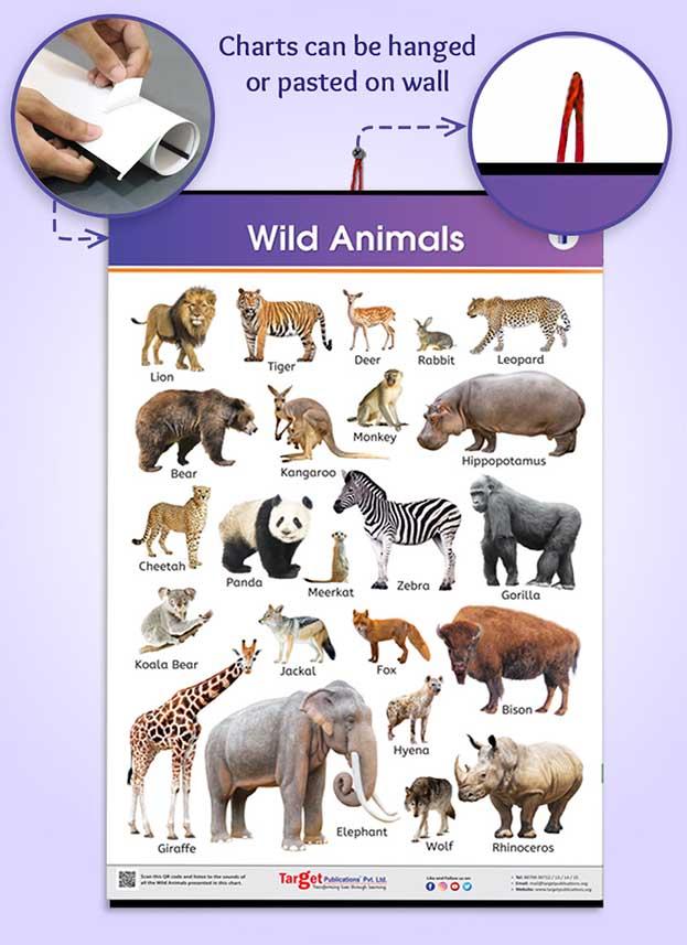 Wild Animals Learning Chart | Learning Charts for Kids Online